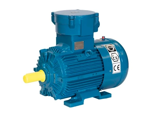 Flameproof Motors(Ex d)