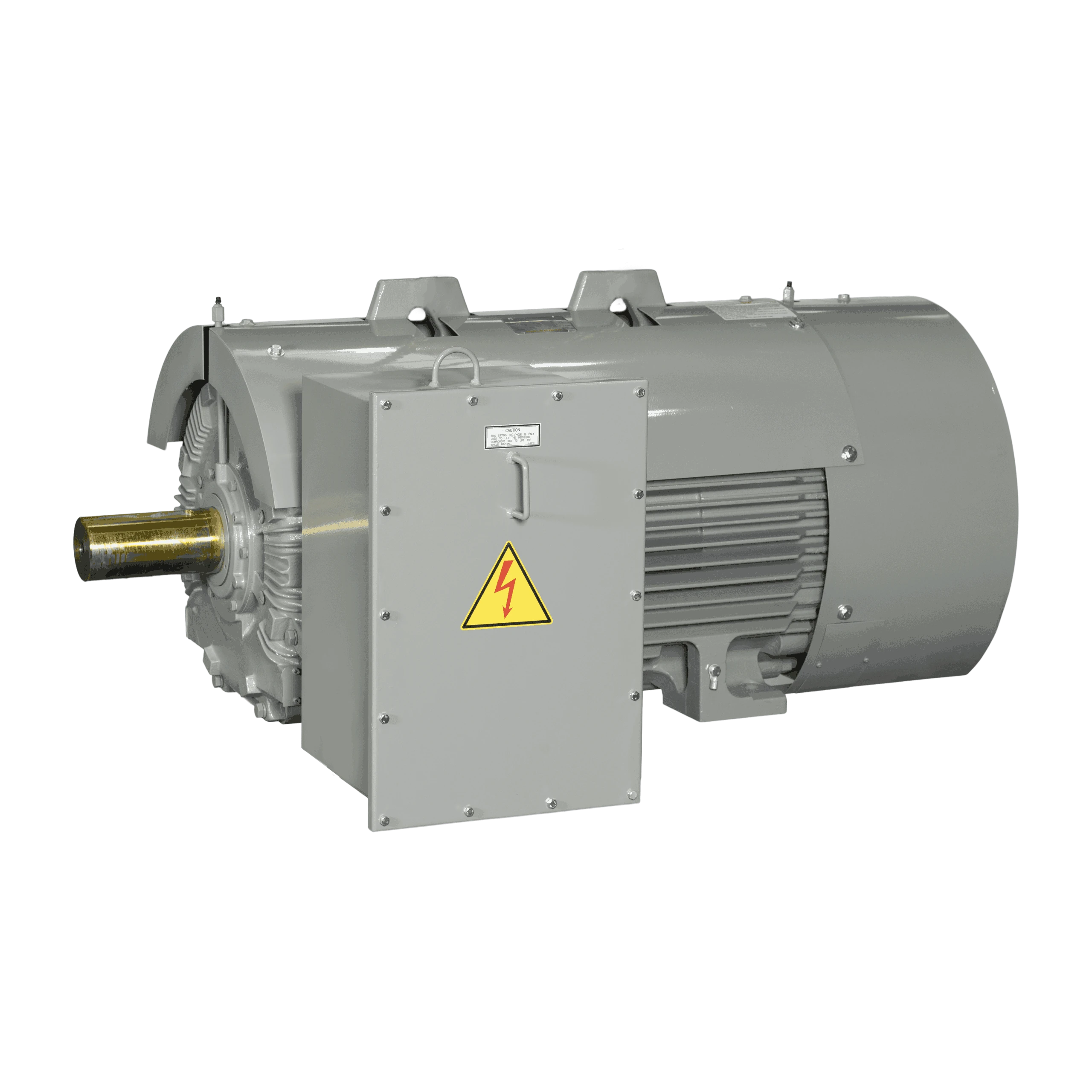 Heavy DutyInduction Motors